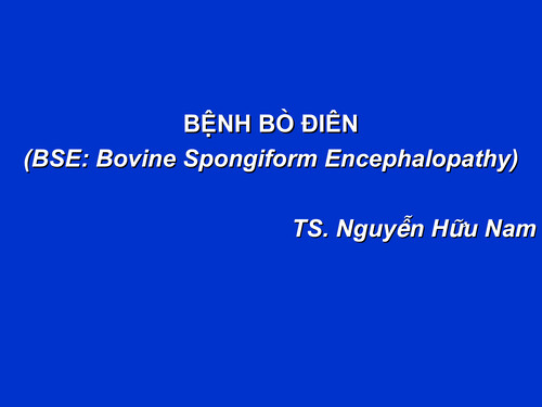 Bài Giảng - Bệnh Bò Điên