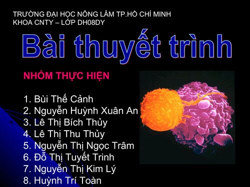 Bài Thuyết Trình Hệ Thống Miễn Dịch Của Cơ Thể