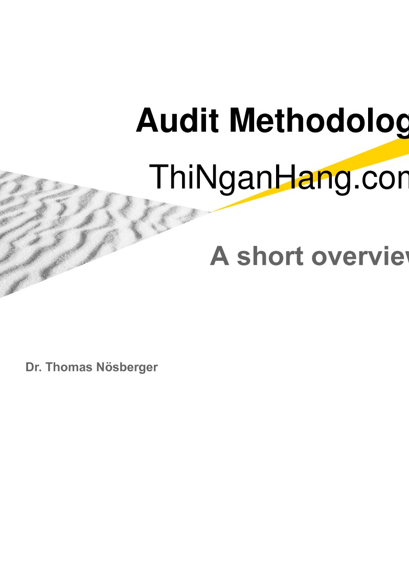Ernst and Young (EY) Audit Methodology - Nguyên tắc Kiểm toán